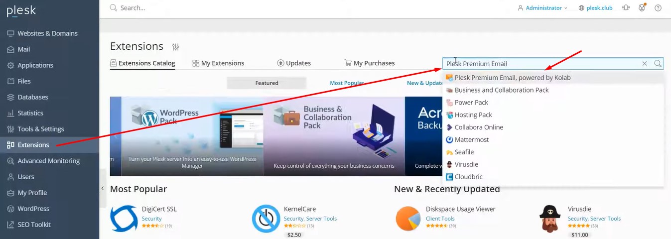 Plesk Premium Email Tutorial - The Official DevClouds Blogs